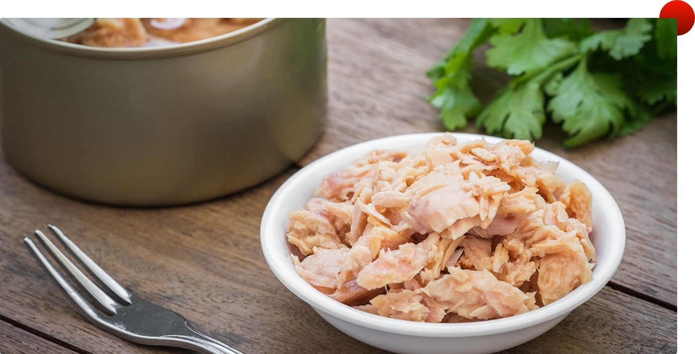 Rema Foods - SCS GROUP, PR