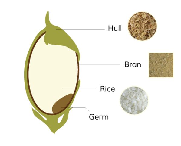 Producer - SCS GROUP, PR